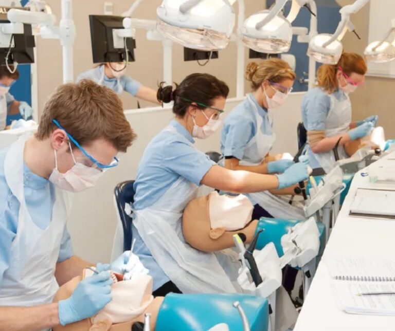 Studying dentistry in Australia | GroupL Education